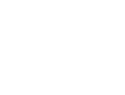 Stamped Concrete - Brick Imprint Paving